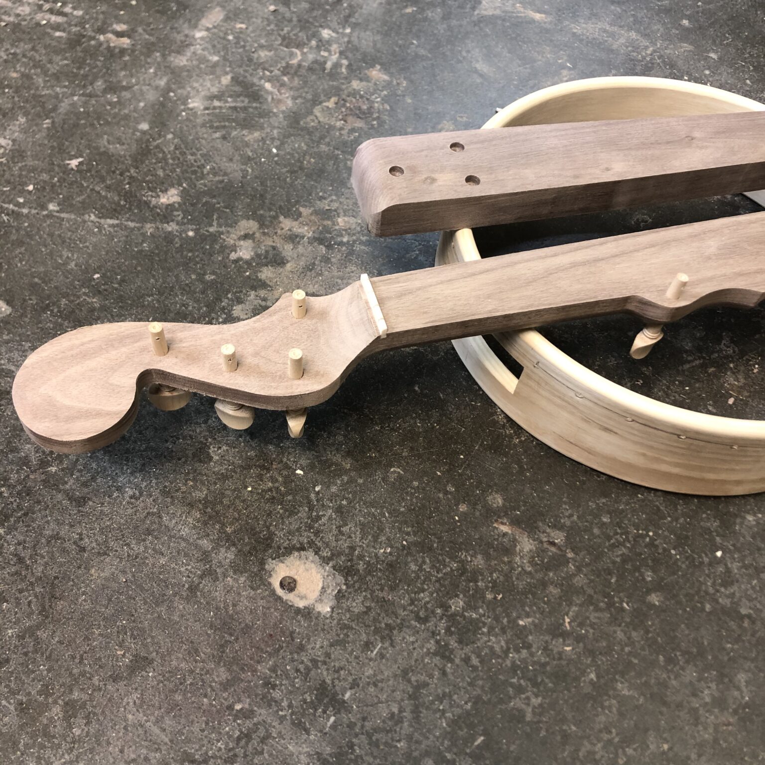 Minstrel Banjo Kit (Tackhead) – Carver Banjos