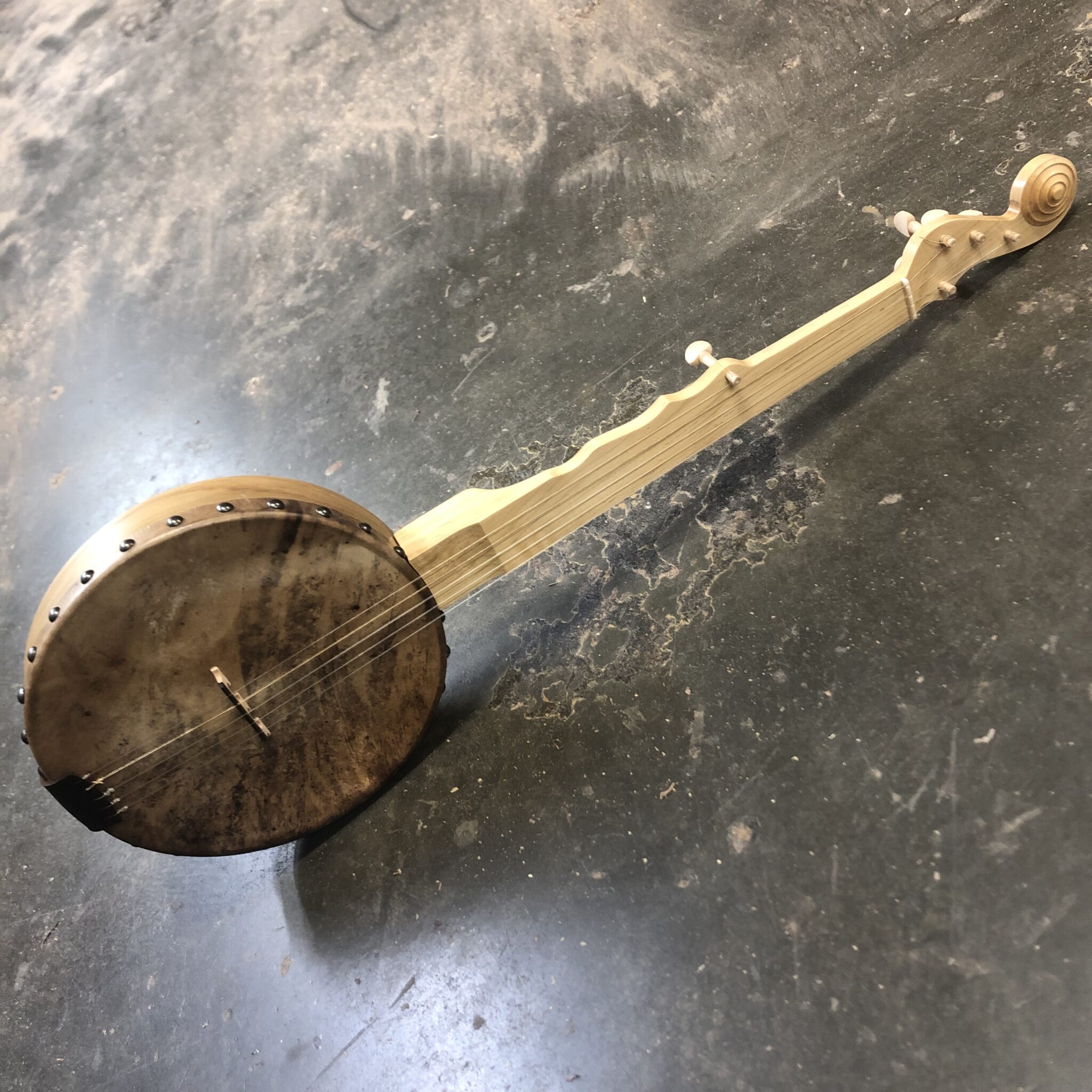 Carver Banjos