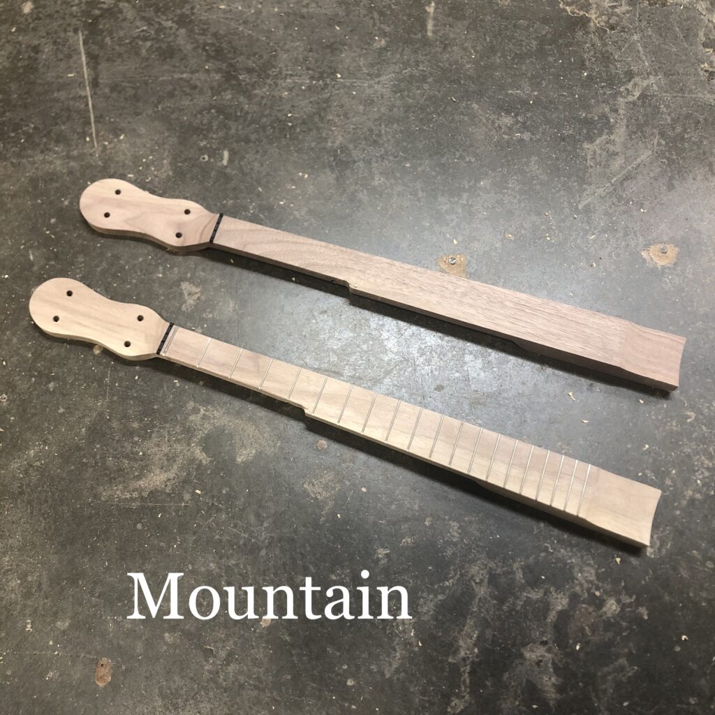 Gourd Banjo Kit Pre Sale Carver Banjos