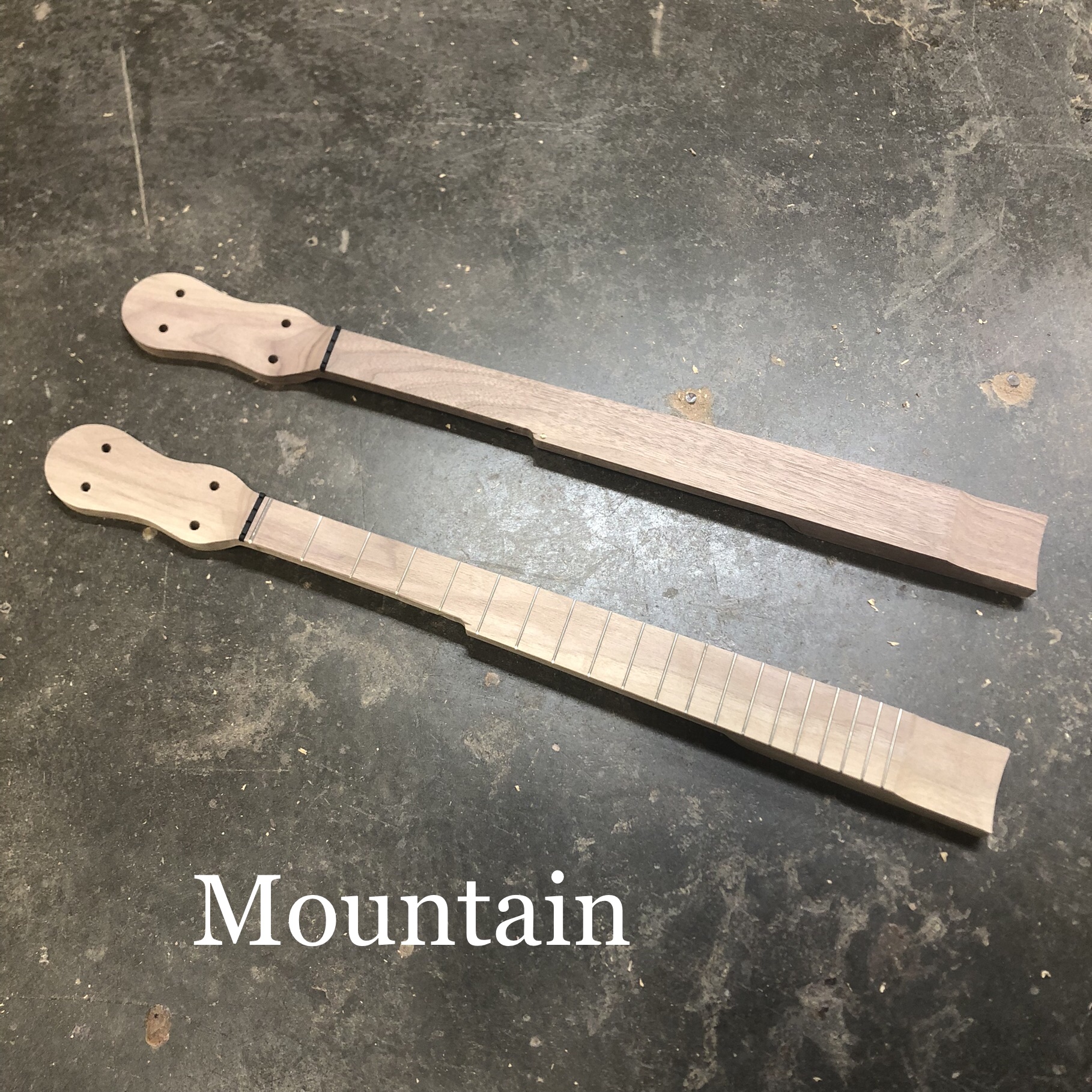 Gourd Banjo Kit – Carver Banjos