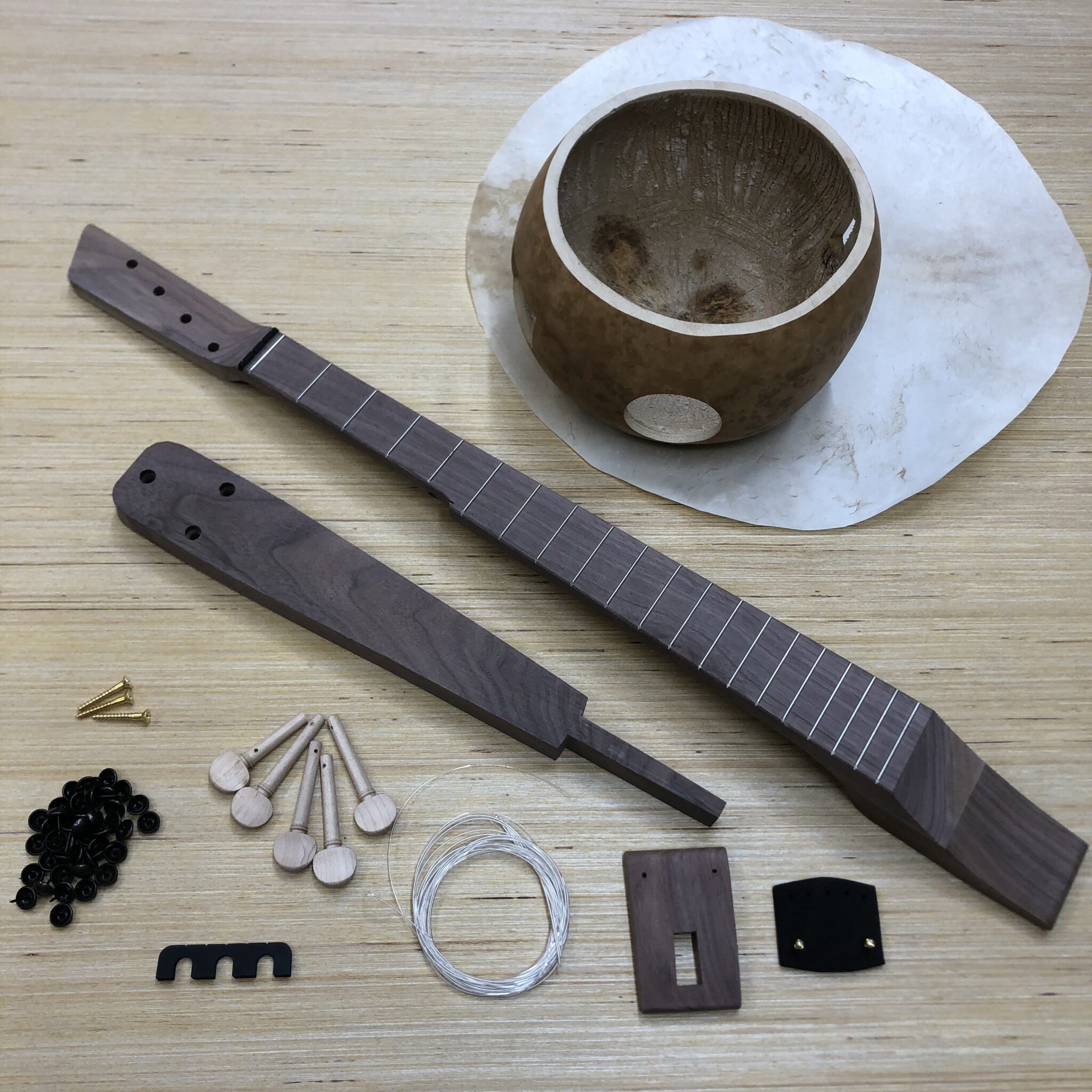 Gourd Banjo Kit Pre Sale Carver Banjos