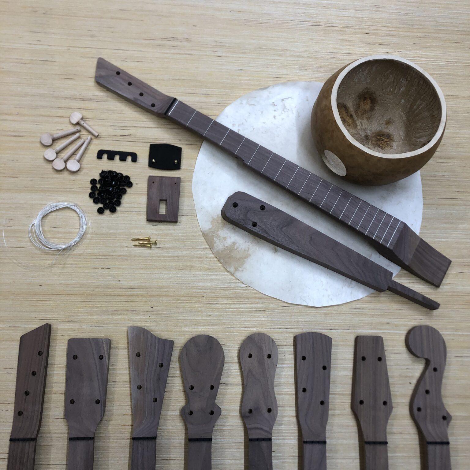 DIY Banjo Kits