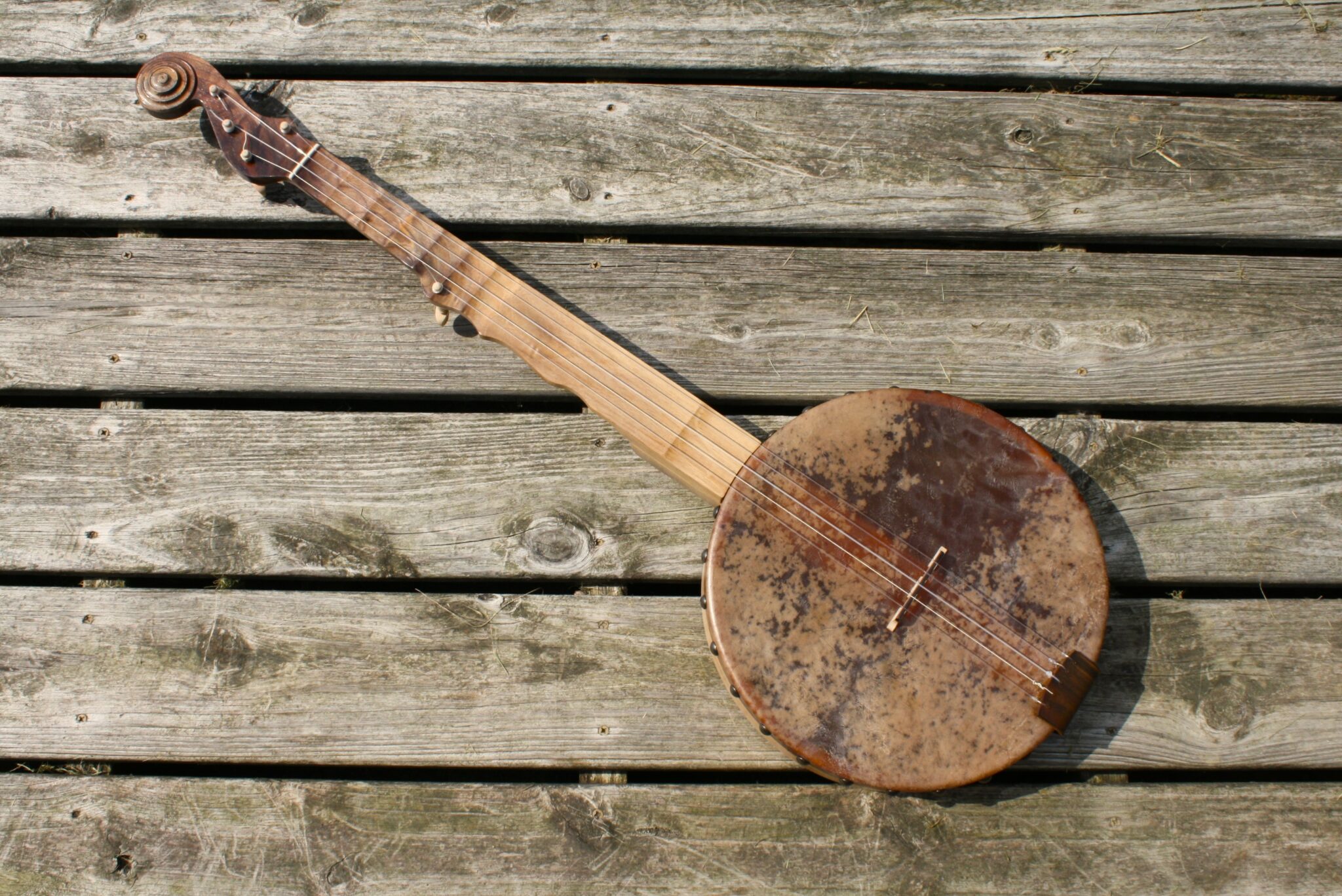 Carver Banjos