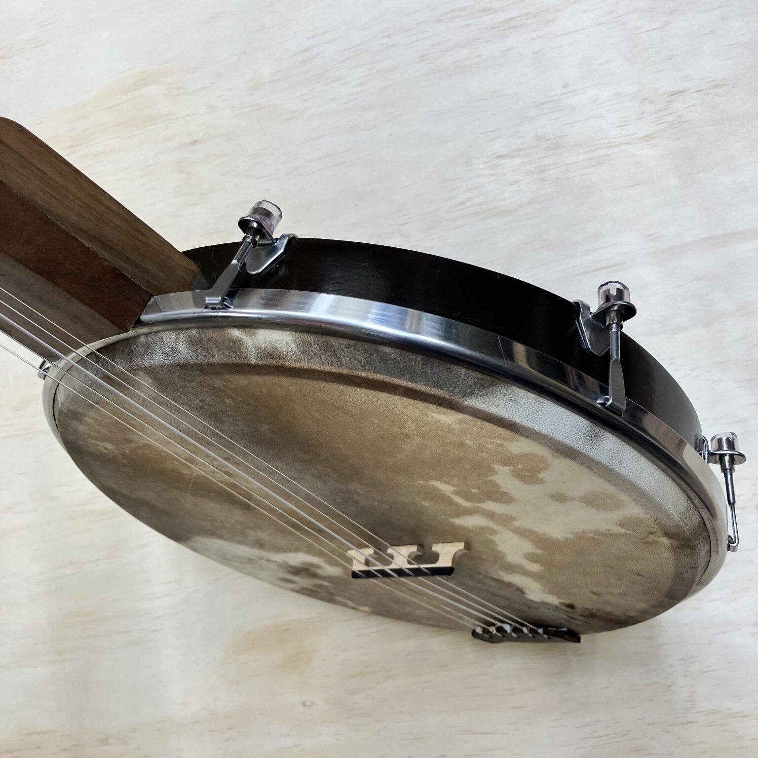 Minstrel Banjo Kit (with Rim Hardware) – Carver Banjos