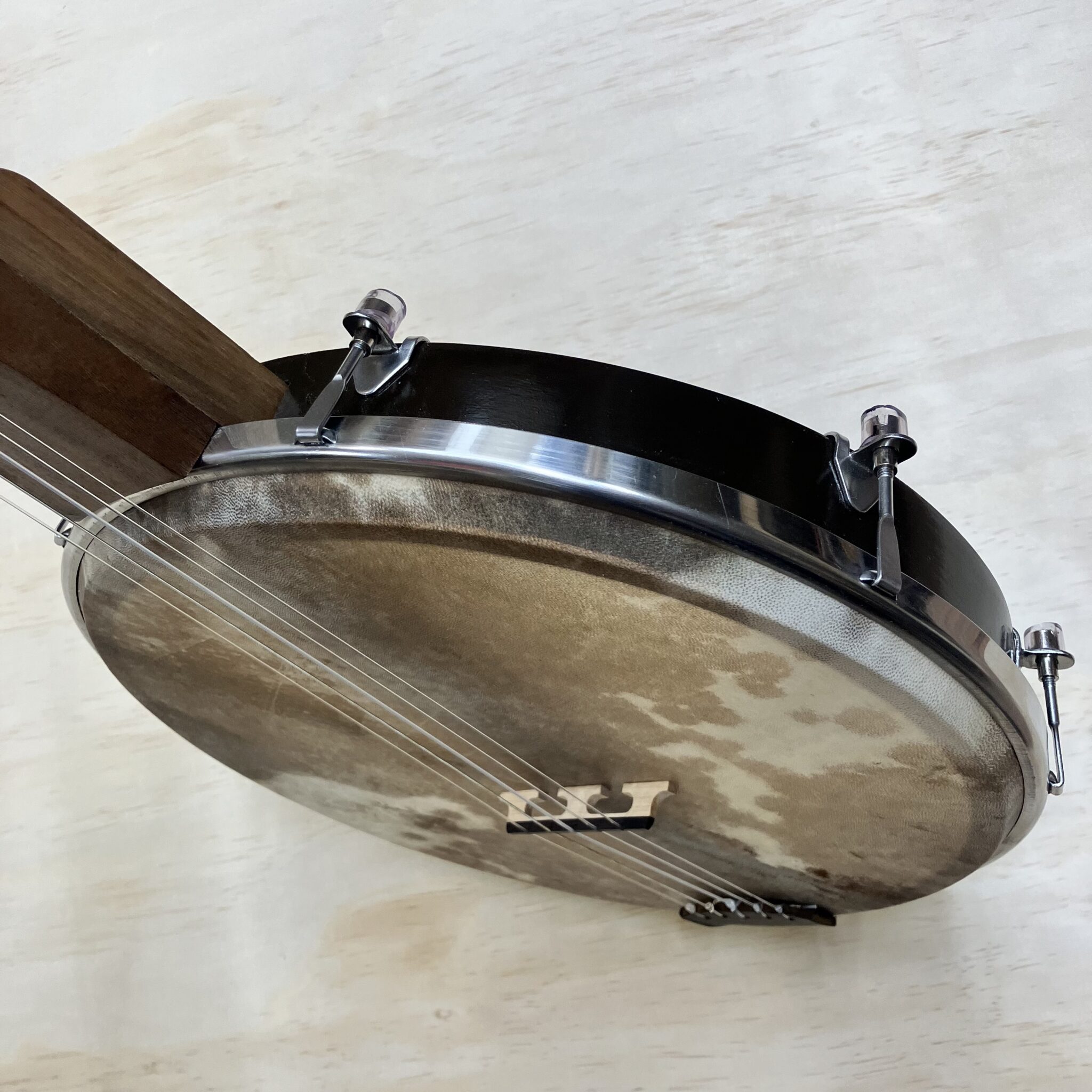 Minstrel Banjo Kit (with Rim Hardware) – Carver Banjos