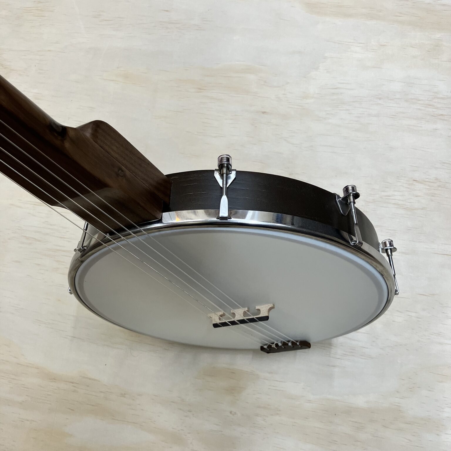 Minstrel Banjo Kit (with Rim Hardware) – Carver Banjos