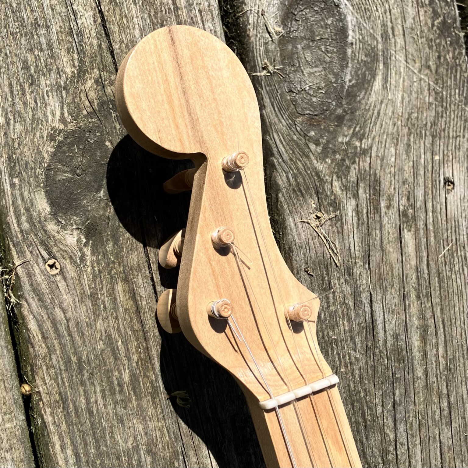 Carver Banjos